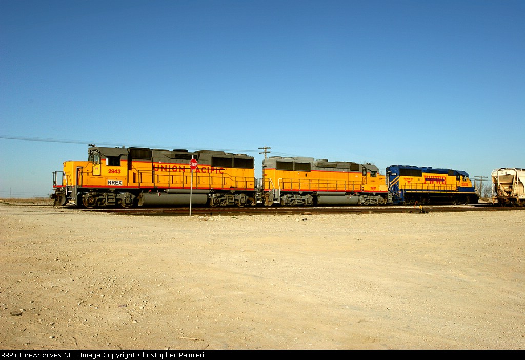 NREX 2943, NREX 2937, and FWWR 2008